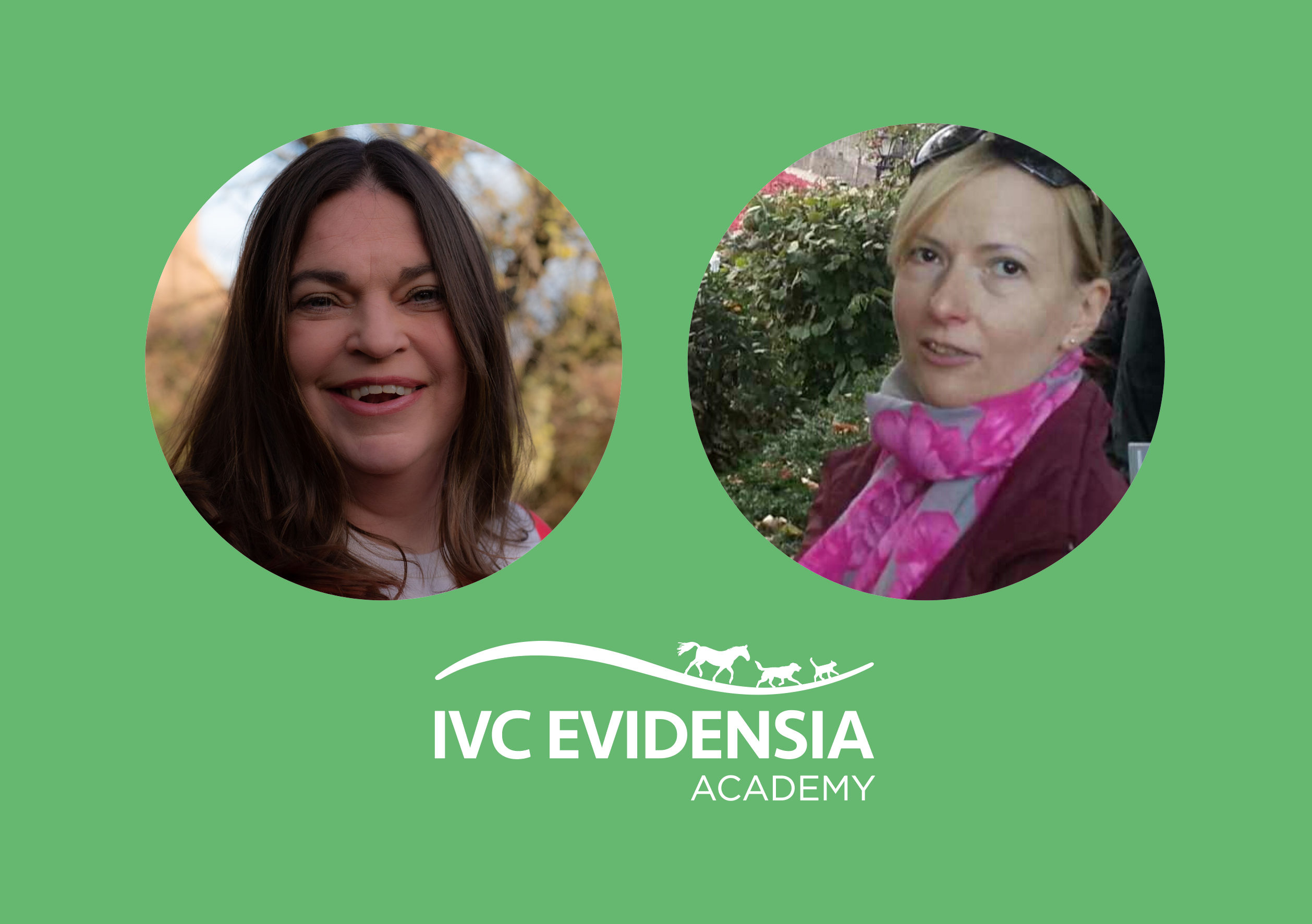 IVC Evidensia Bolsters Its Learning And Development Commitment | IVC ...